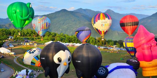 Festivals | The Balloon Muppets